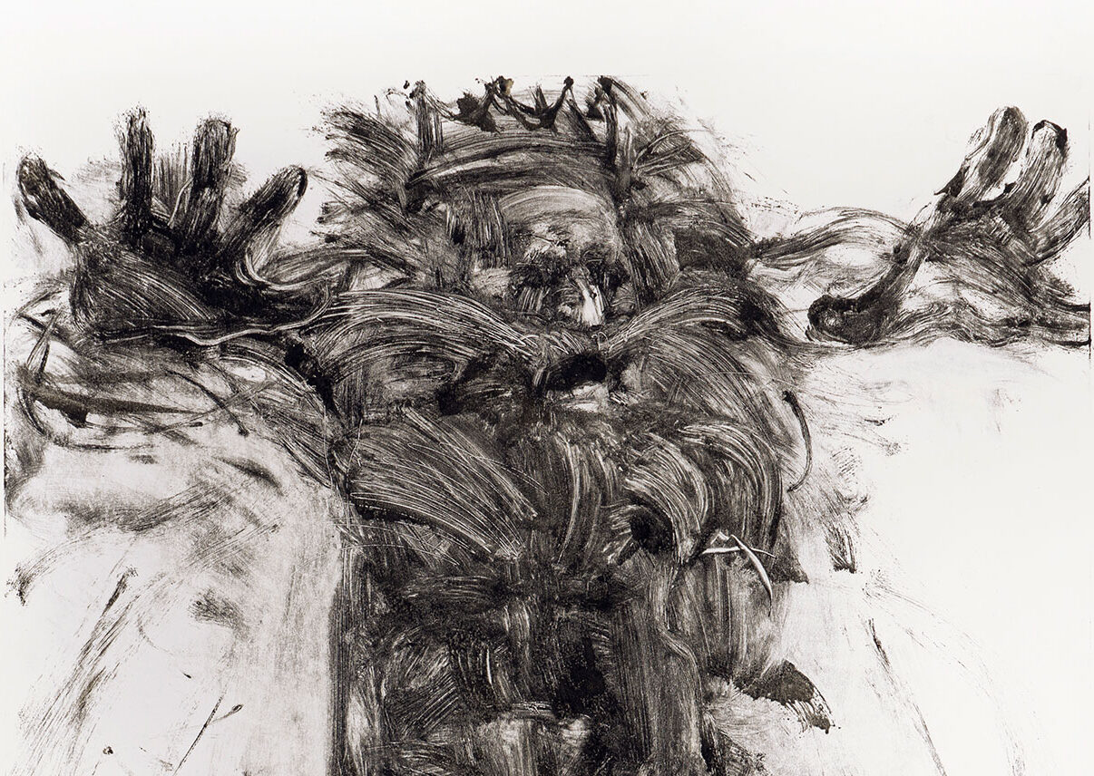 BAIA GALLERY | Baia Gallery